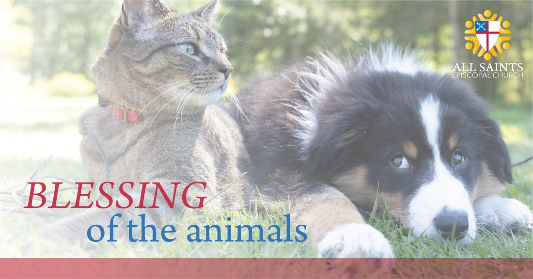 Blessing of the Animals | All Saints Episcopal Church, Fort Lauderdale ...