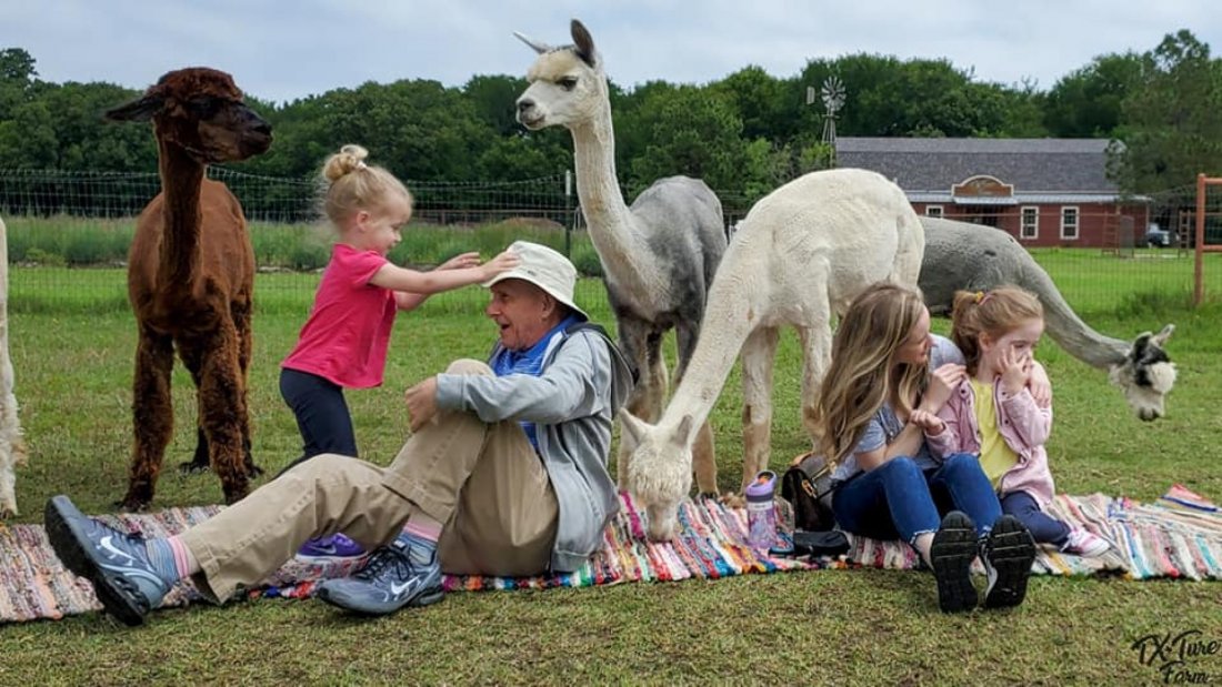 Walk-A-Paca Alpaca Experience | TX-Ture Farm, Aubrey, TX | December 20 ...