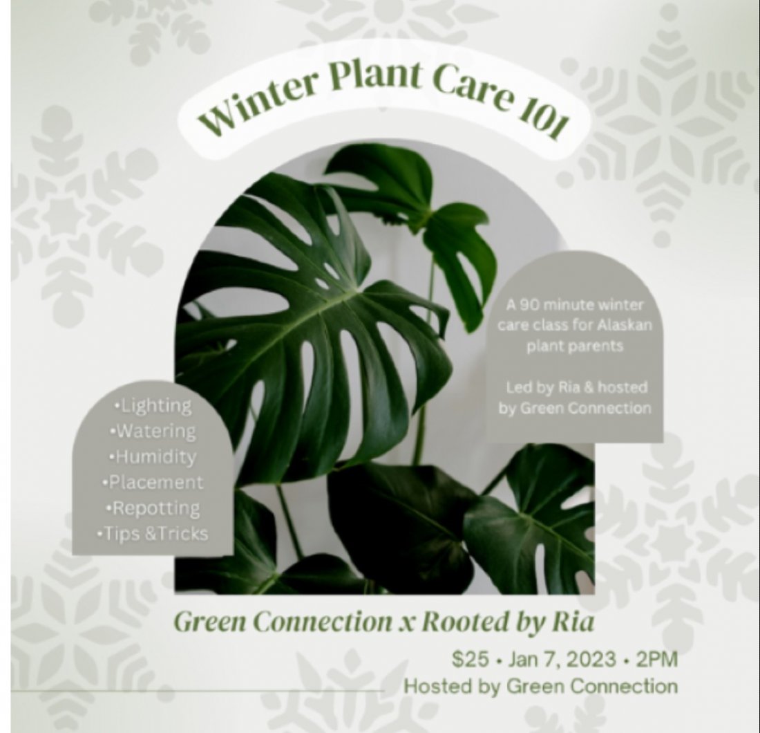 Winter Plant Care 101 Tickets | Green Connection, Anchorage, AK ...