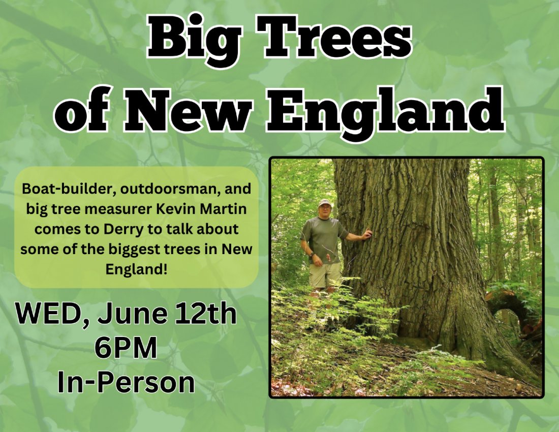 Big Trees of Northern New England Tickets | Derry Public Library | June ...