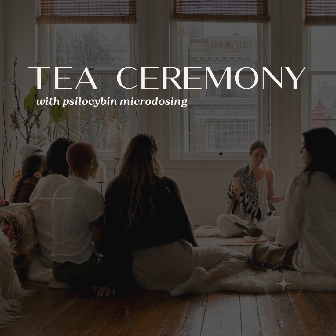 Tea Ceremony with Psilocybin Microdosing Tickets at Fernwood Hub ...